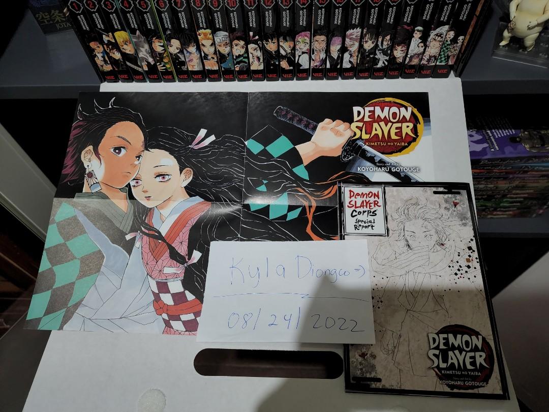 Demon Slayer Manga Box Set / Kimetsu no Yaiba, Hobbies & Toys, Books ...