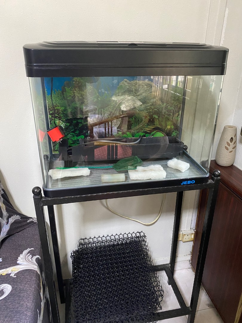 2ft x 1 ft Fish Tank With Stand, Pet Supplies, Homes & Other Pet ...