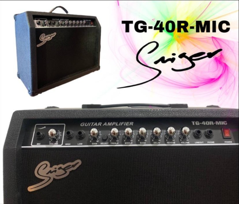 Smiger TG-40R-MIC Electric Guitar Amplifier w/MIC Input, 40-watt, Hobbies & Toys, Music & Media ...
