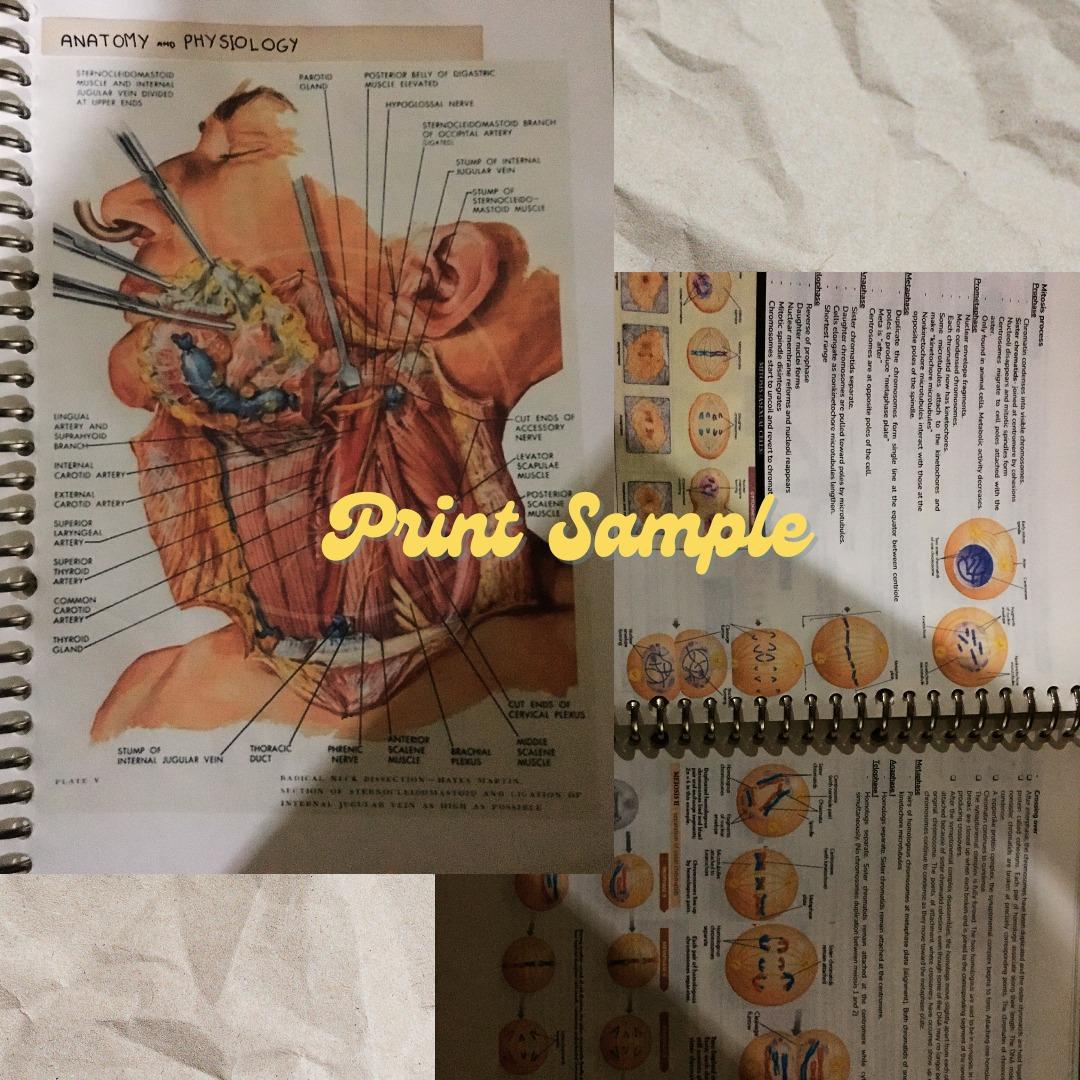 UST SHS NOTES [Introduction to Healthcare for Grade 12] - With Tips ...