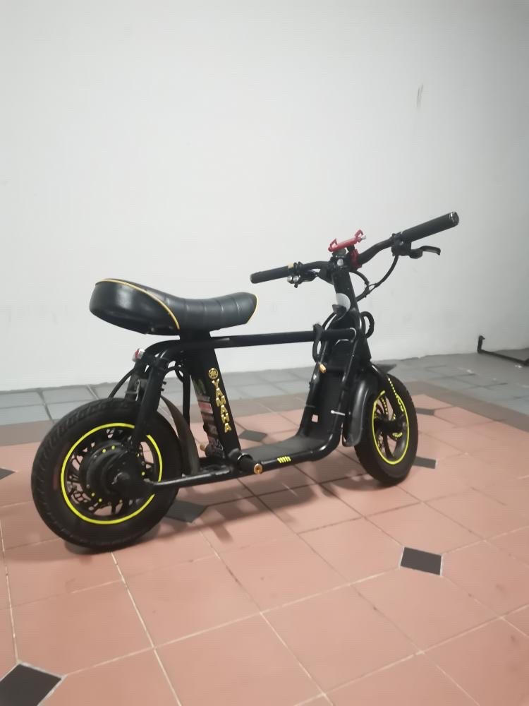 60v setup lowered, Sports Equipment, PMDs, E-Scooters & E-Bikes, E ...