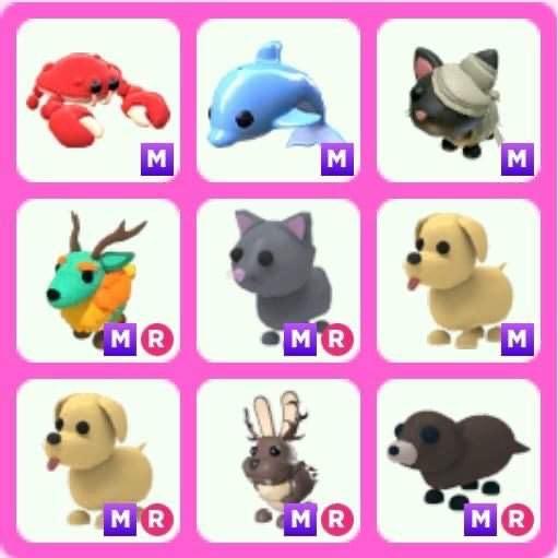 ADOPT ME MEGA PETS, Video Gaming, Gaming Accessories, In-Game Products ...