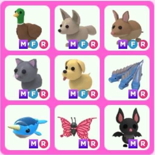 ADOPT ME MEGA PETS, Video Gaming, Gaming Accessories, In-Game Products ...