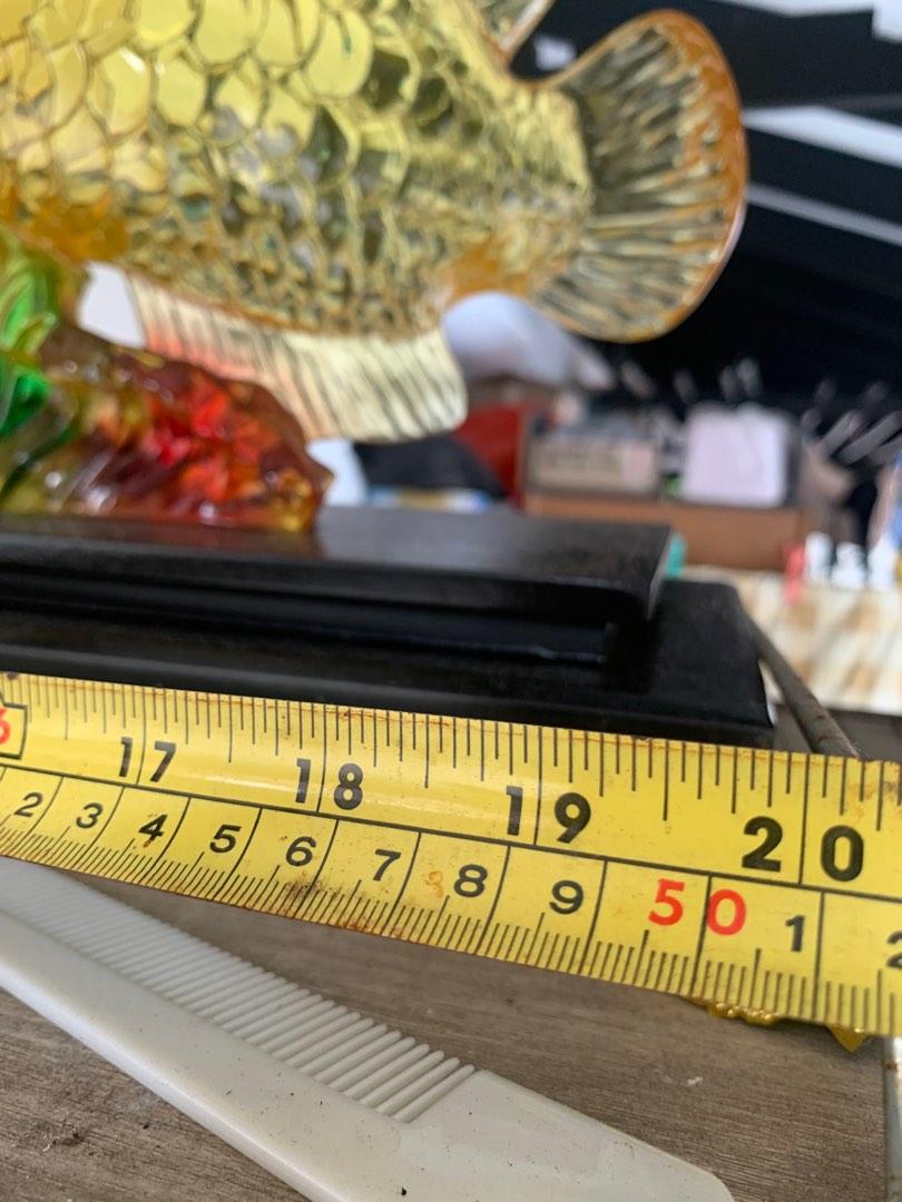 Antique Arowana display for good luck, Furniture & Home Living, Home ...