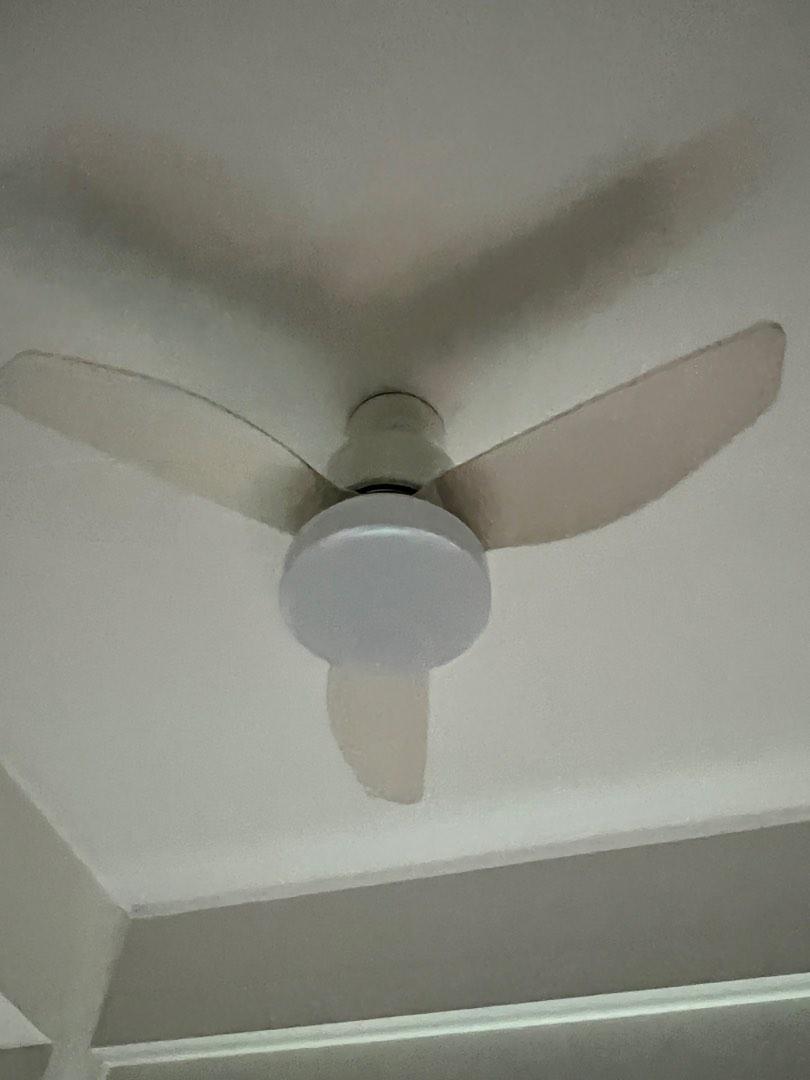 Ceiling Fan for sell at a very low price, Furniture & Home Living ...