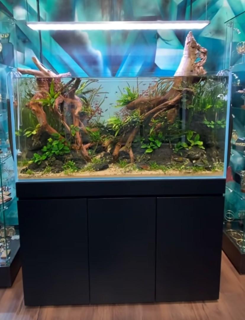 Crystal clear glass fish tank with solid wood cabinet (New), Pet ...