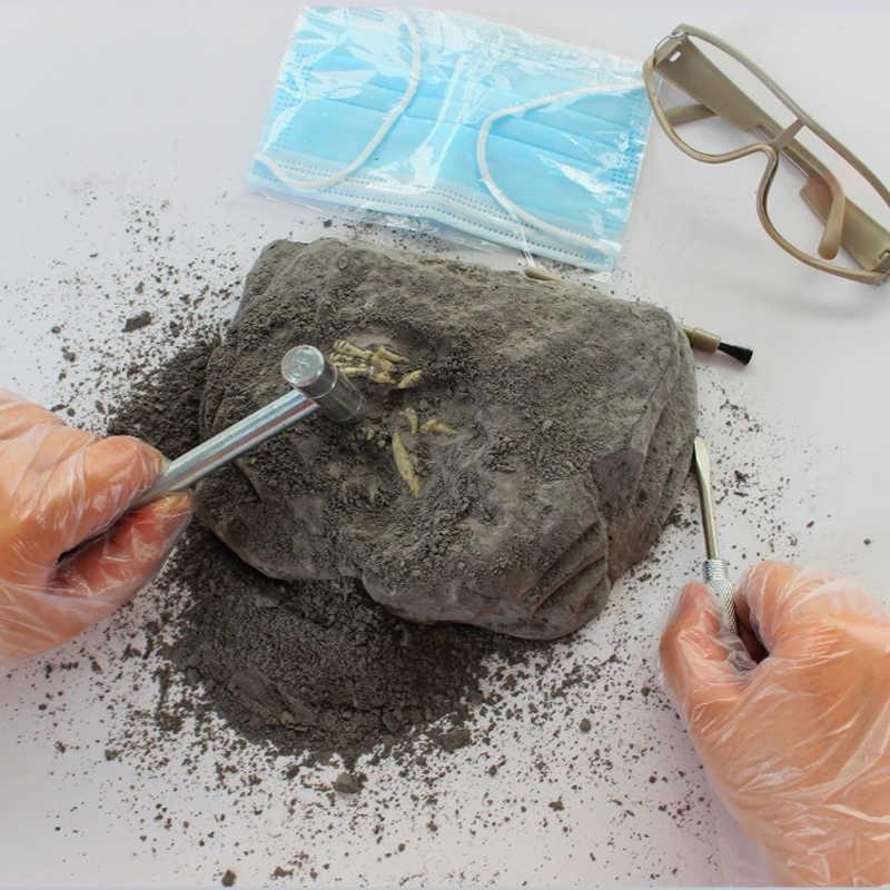 Dinosaur Fossils Toy Digging Tools Deluxe Editions with Glass ...