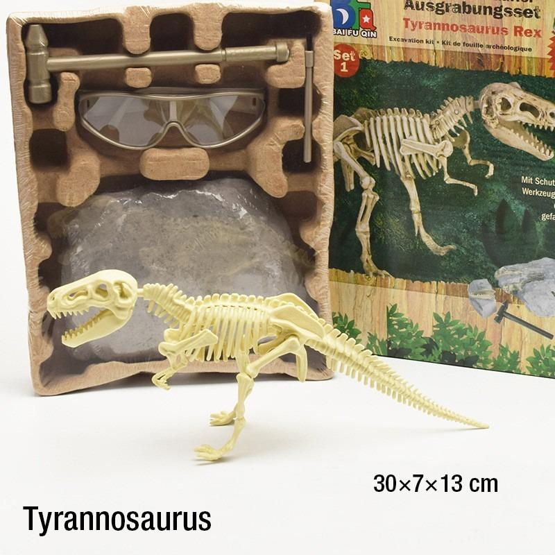 Dinosaur Fossils Toy Digging Tools Deluxe Editions with Glass ...