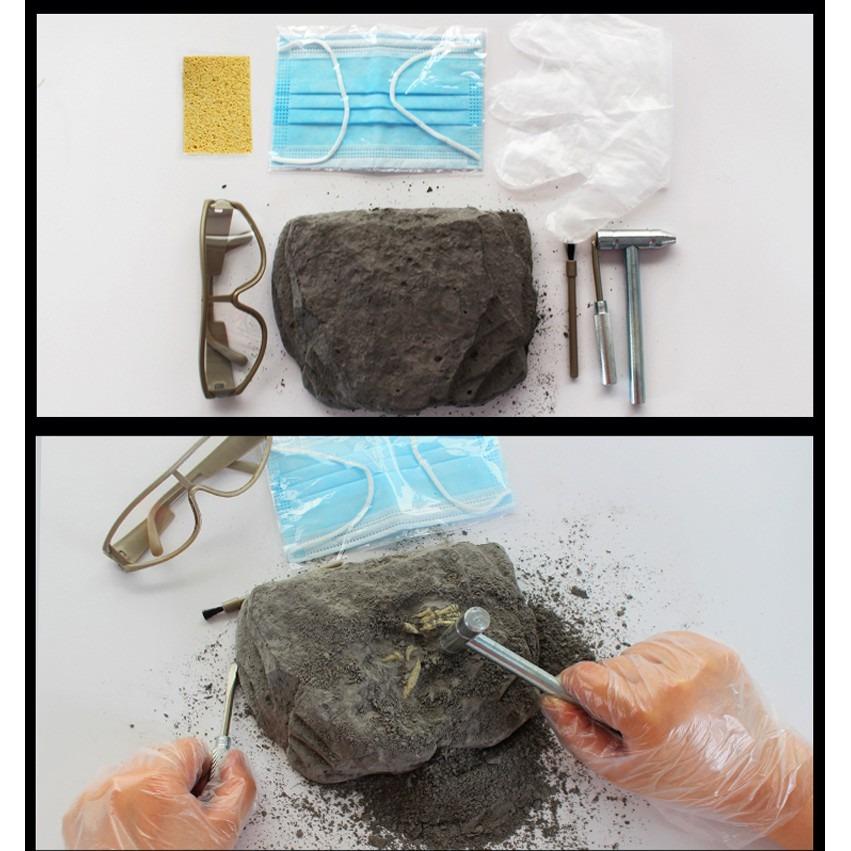 Dinosaur Fossils Toy Digging Tools Deluxe Editions with Glass ...