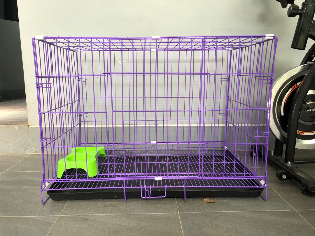 DOG CAGE - Purple (XXL) with Poop tray, Pet Supplies, Homes & Other Pet ...
