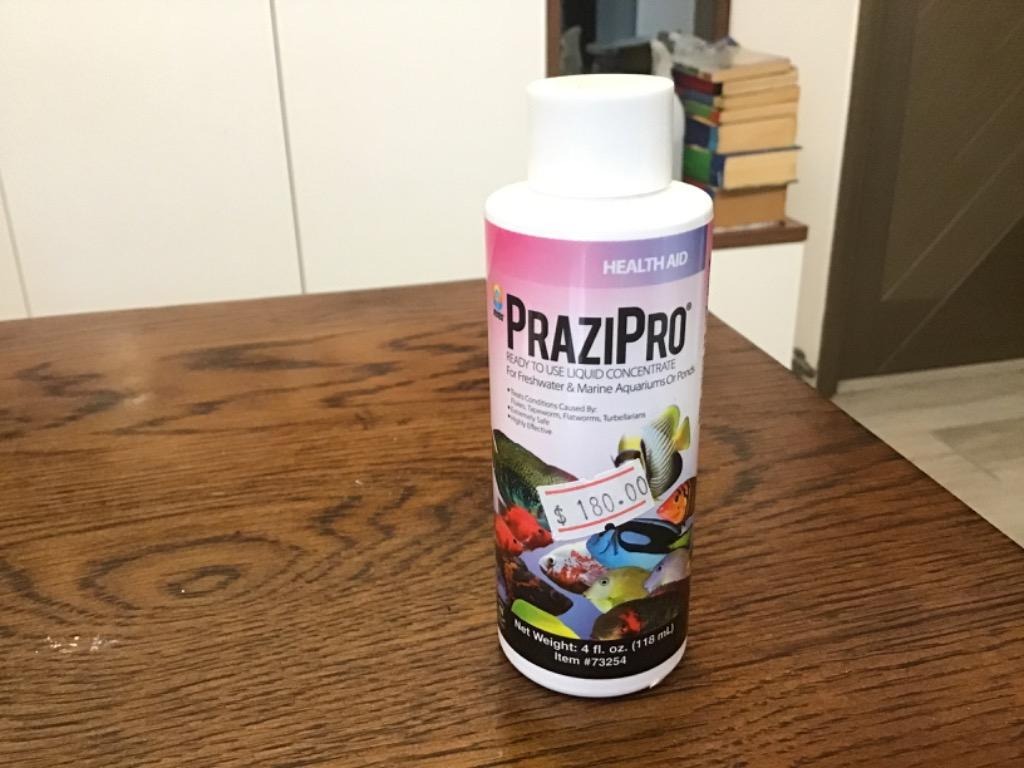 PraziPro 專門處理魚身上寄生蟲, 寵物用品, 寵物衣服 - Carousell