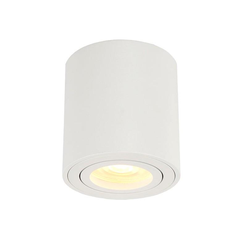 SKU: D009-Cylinder canister surface mounted ceiling light toilet light ...