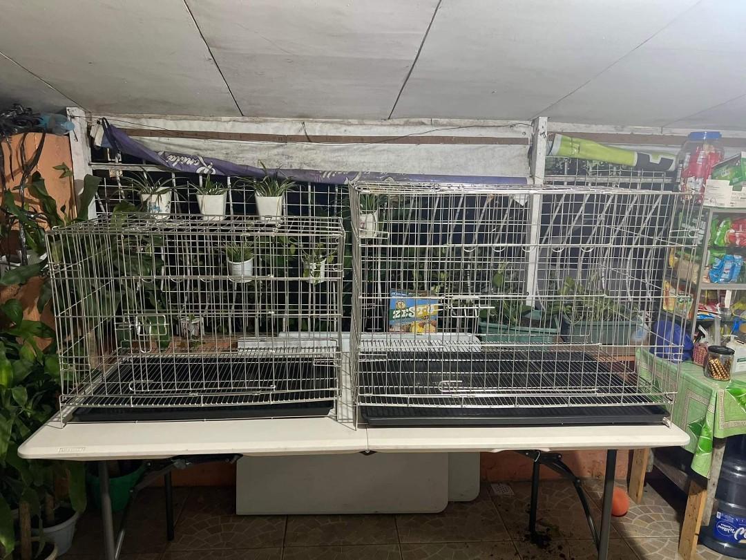 Stainless Pet crate, Pet Supplies, Homes & Other Pet Accessories on ...