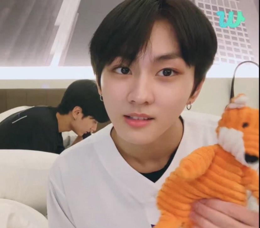 sunoo kcon fox doll, Hobbies & Toys, Memorabilia & Collectibles, K-Wave ...