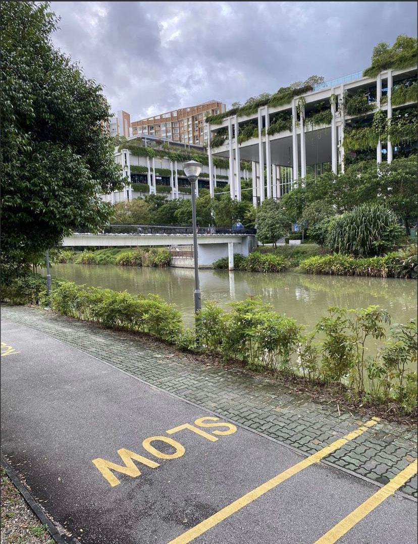 668a Edgefield Plains Waterway Ridges, Property, Rentals, HDB on Carousell