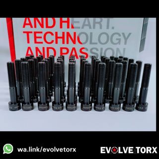 BMW Torx Caliper Bolts, Motorcycles, Motorcycle Accessories on Carousell