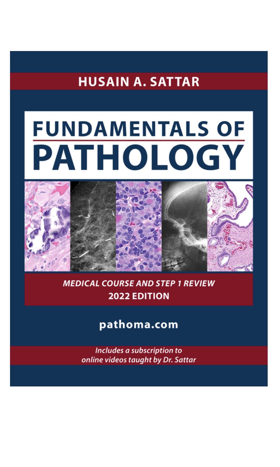 Fundamentals of Pathology (2022), Hobbies & Toys, Books & Magazines ...