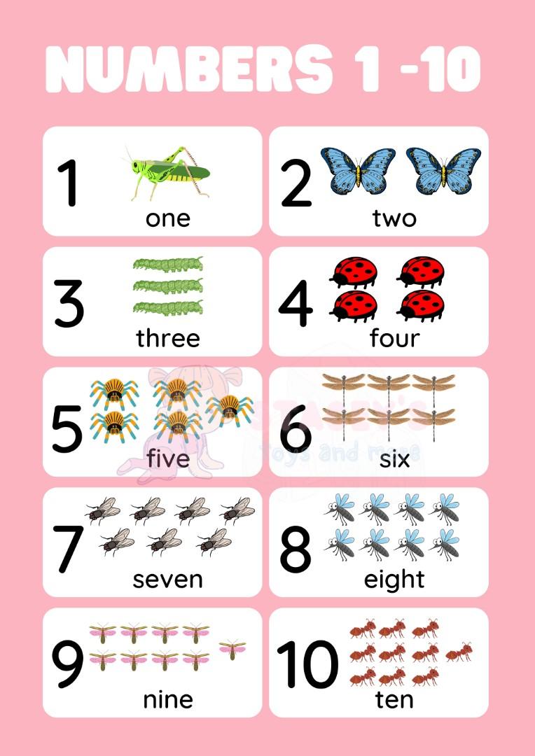LAMINATED Numbers Chart A4 (125/250 microns), Hobbies & Toys ...