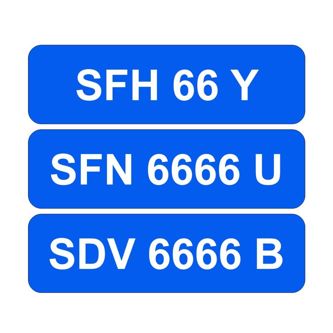 Lucky Car Number Plate for Sale: 66, 6666, Car Accessories, Car Plates ...