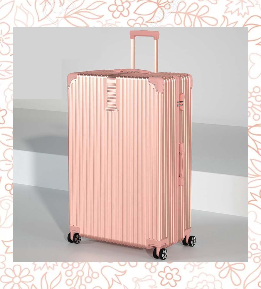 Premium Luggage / Hard Shell Luggage / Aluminium Alloy / ABS ...