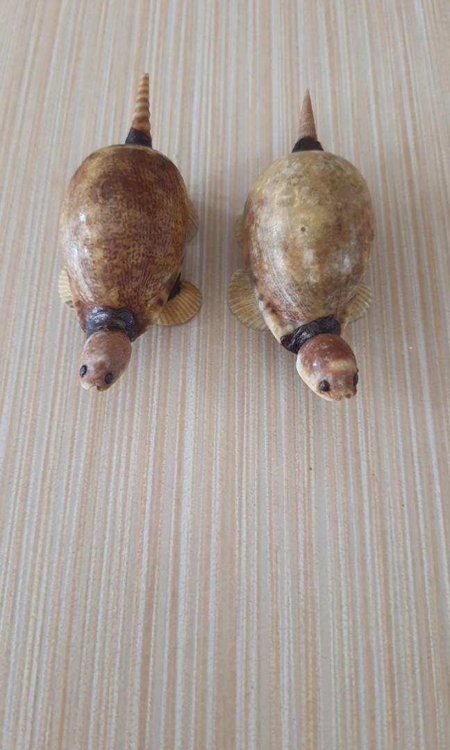 Shell made tortoise, Hobbies & Toys, Collectibles & Memorabilia ...