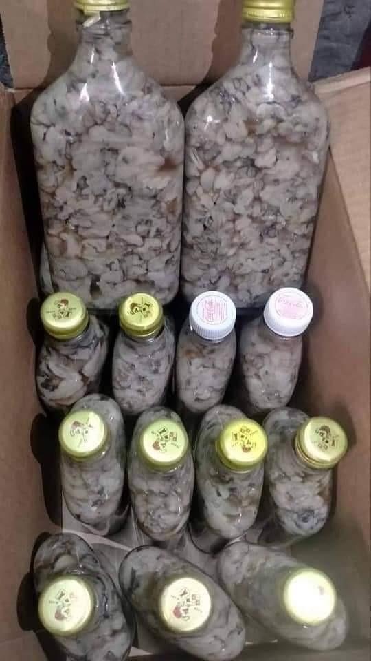 Sisi Talaba on Carousell