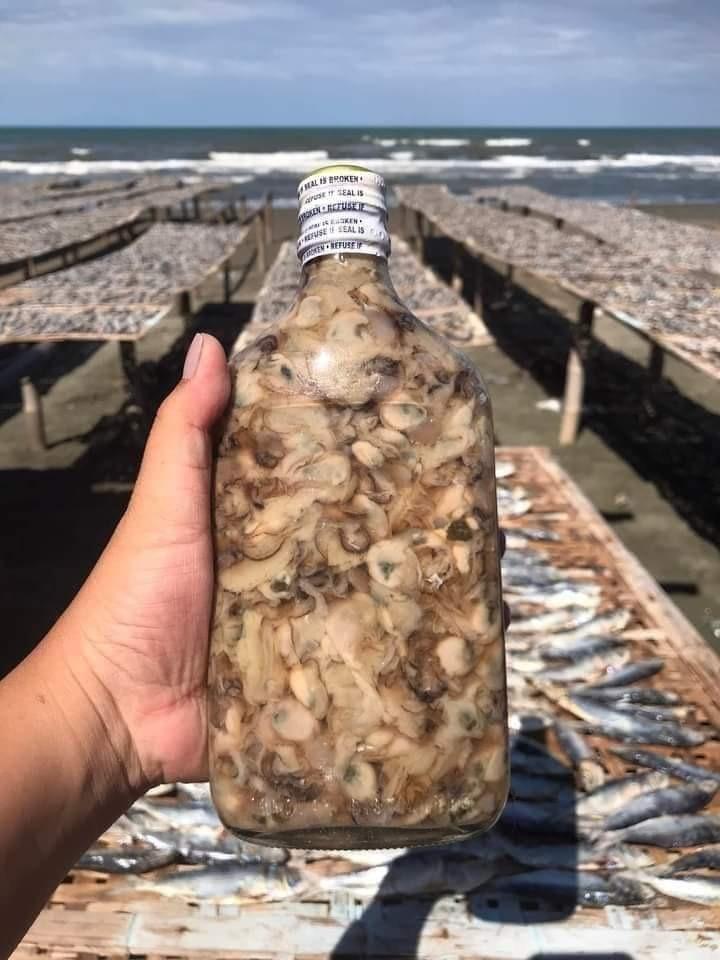 Sisi Talaba on Carousell