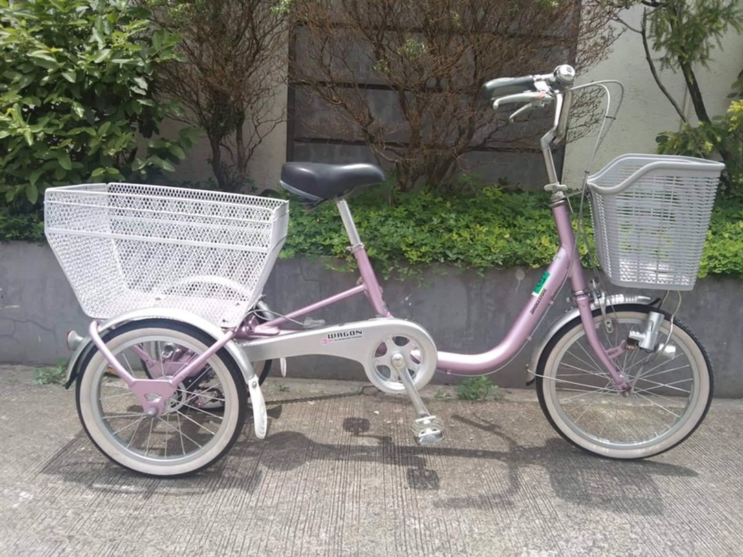 20" Bridgestone All Original Tri Wheel Bike, Sports Equipment, Bicycles ...