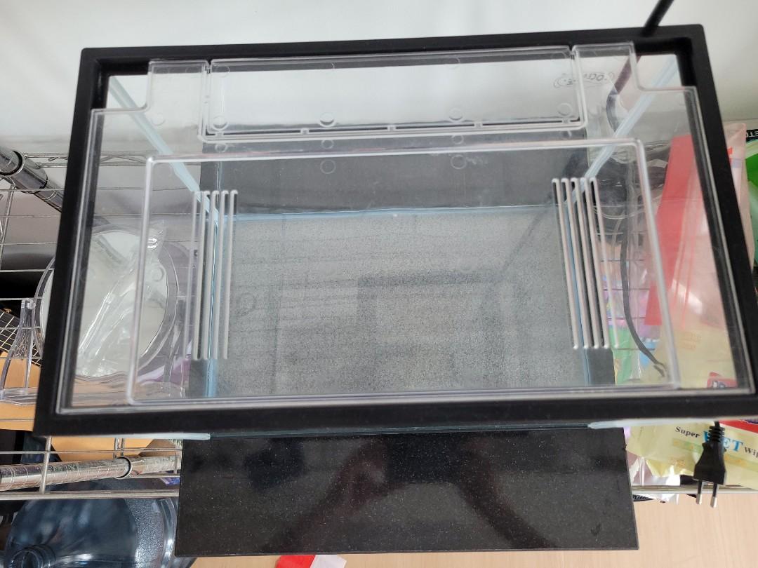 Acrylic fish tank, Pet Supplies, Homes & Other Pet Accessories on Carousell