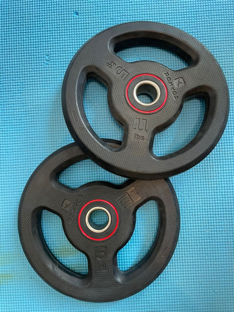 Aibi 5 kg tri grip disc, Sports Equipment, Exercise & Fitness, Weights ...