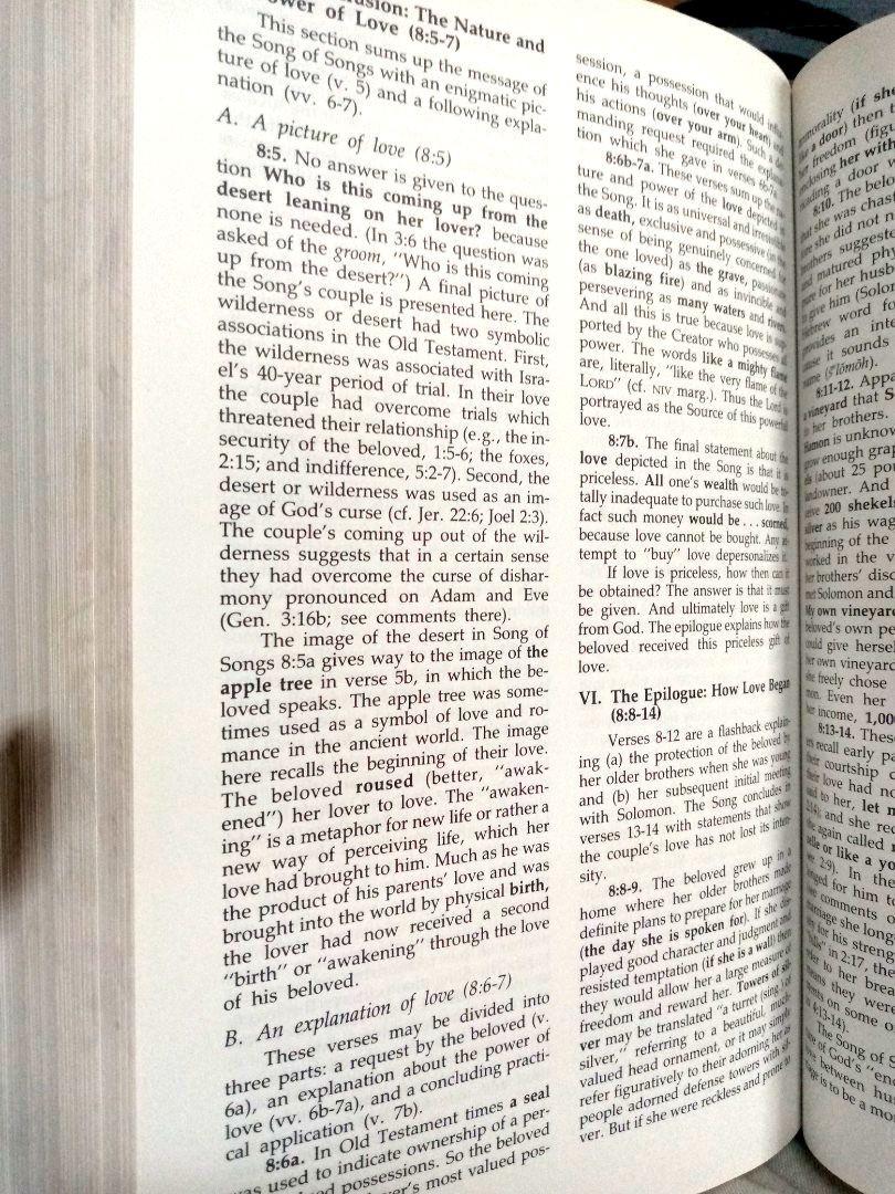 Bible Knowledge commentary, Hobbies & Toys, Books & Magazines, Religion ...