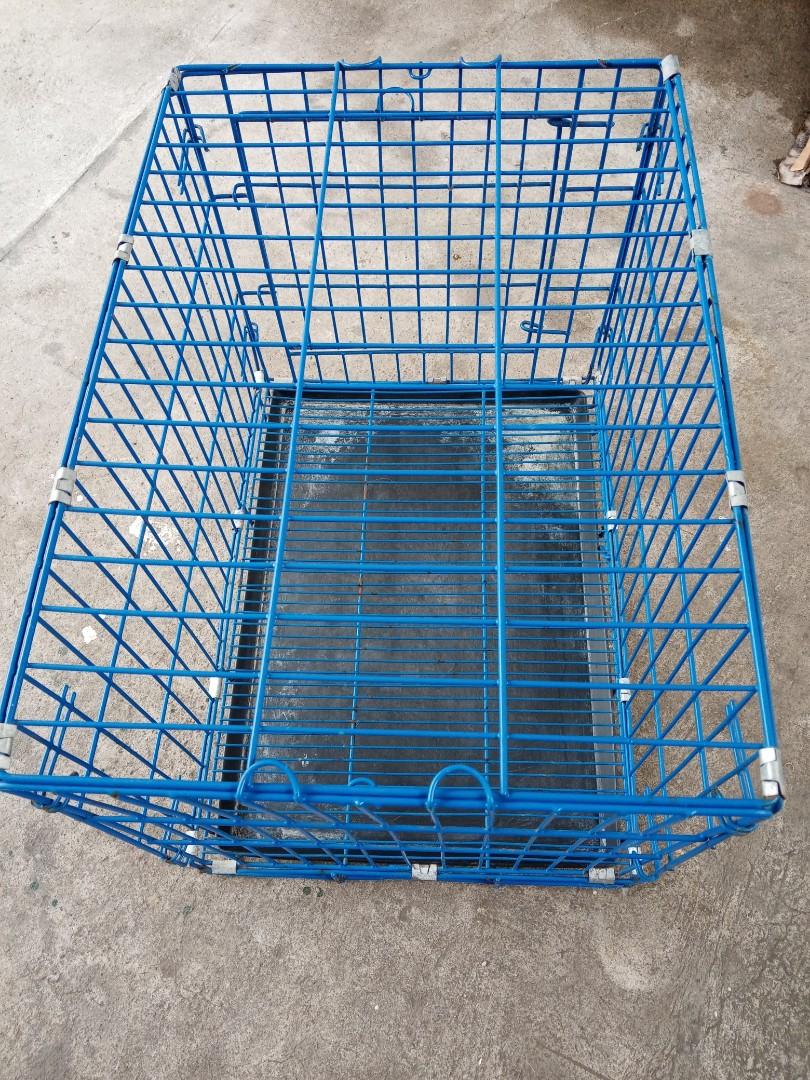 Collapsable Cage, Pet Supplies, Homes & Other Pet Accessories on Carousell