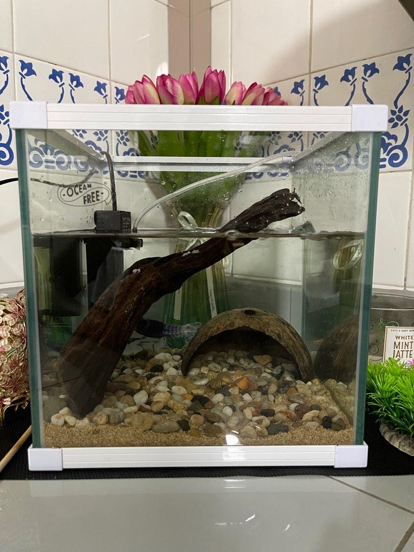 Cube fish tank, Pet Supplies, Homes & Other Pet Accessories on Carousell