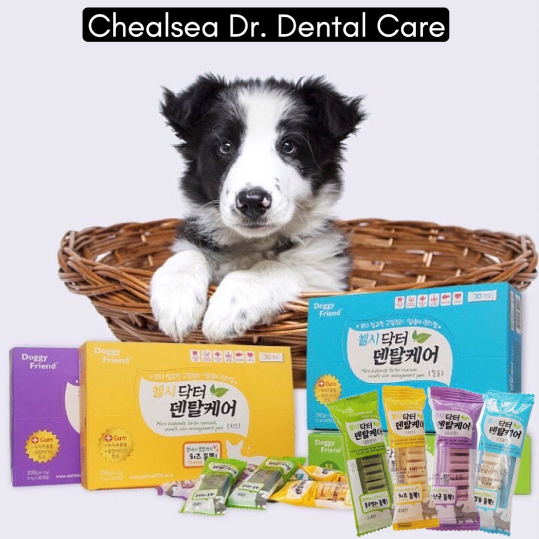 Dog Dr Dental Care Chew Gum 1P Korean Dog Treats, Pet Supplies, Pet ...