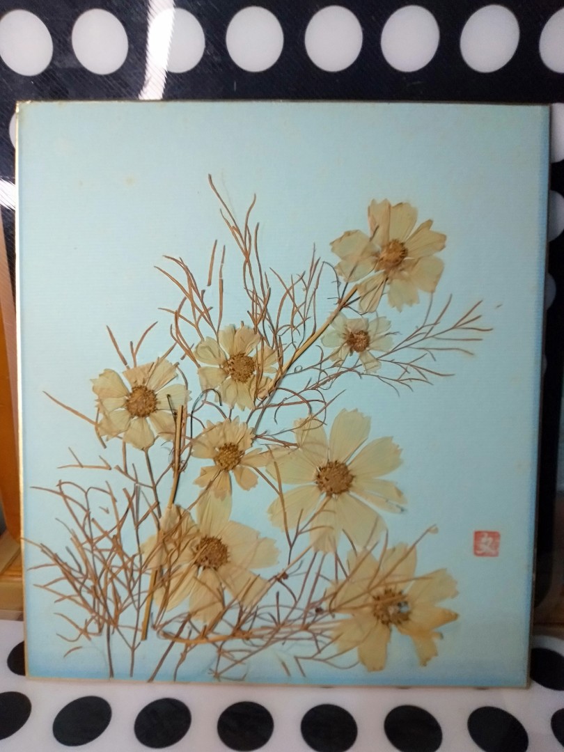 Dried Cosmos Flowers In Shikishi Board From Japan, Hobbies & Toys ...