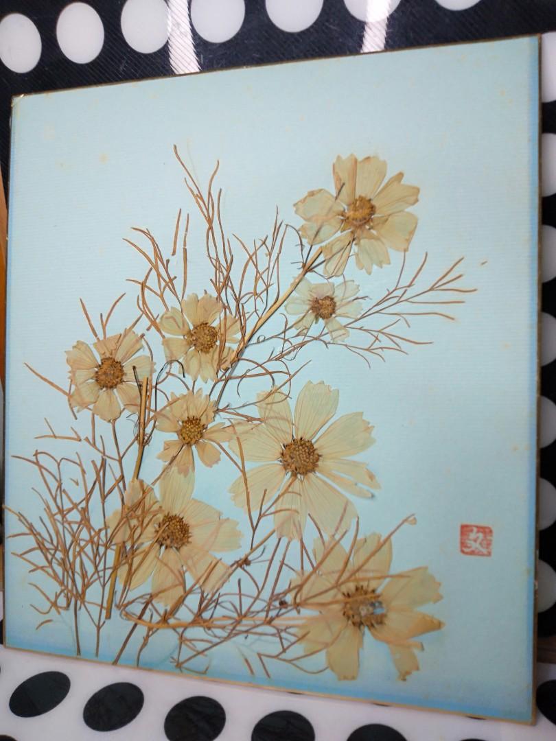 Dried Cosmos Flowers In Shikishi Board From Japan, Hobbies & Toys ...