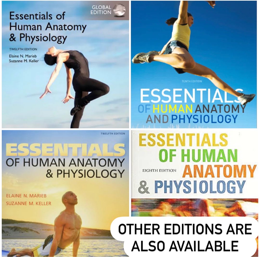 Essentials of Human Anatomy and Physiology, Hobbies & Toys, Books ...