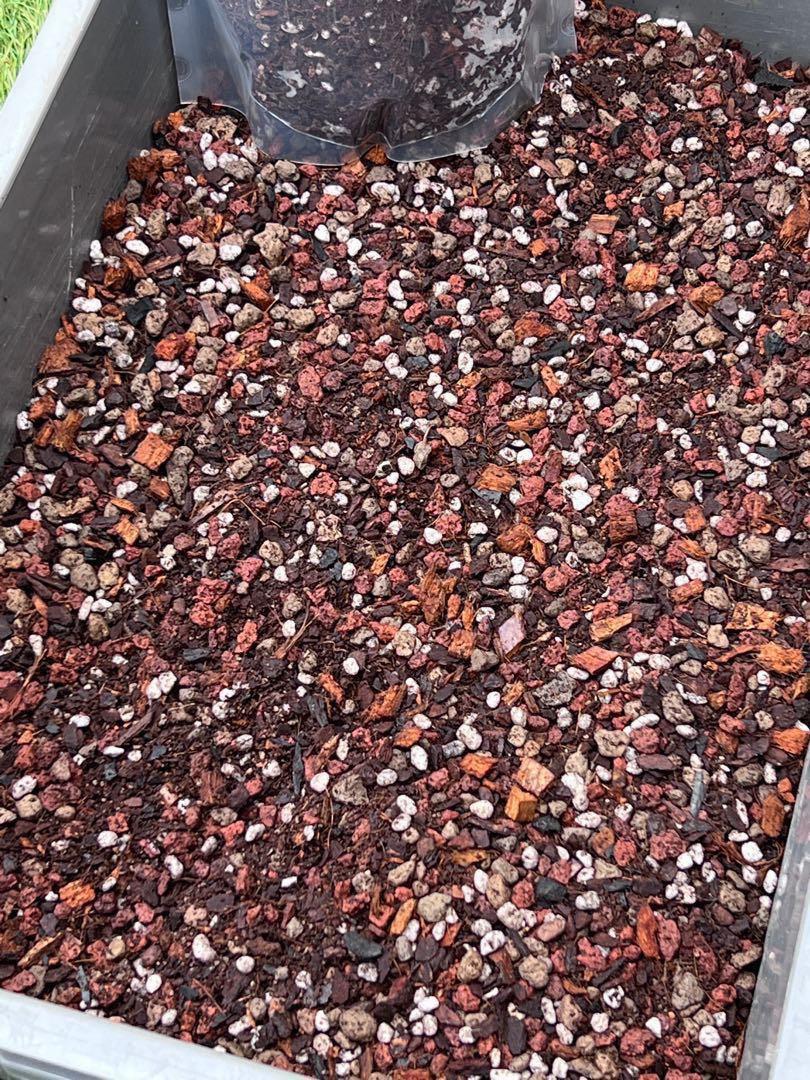 Super Premium Aroid Mix (SPAM) - Improved Recipe, Furniture & Home ...