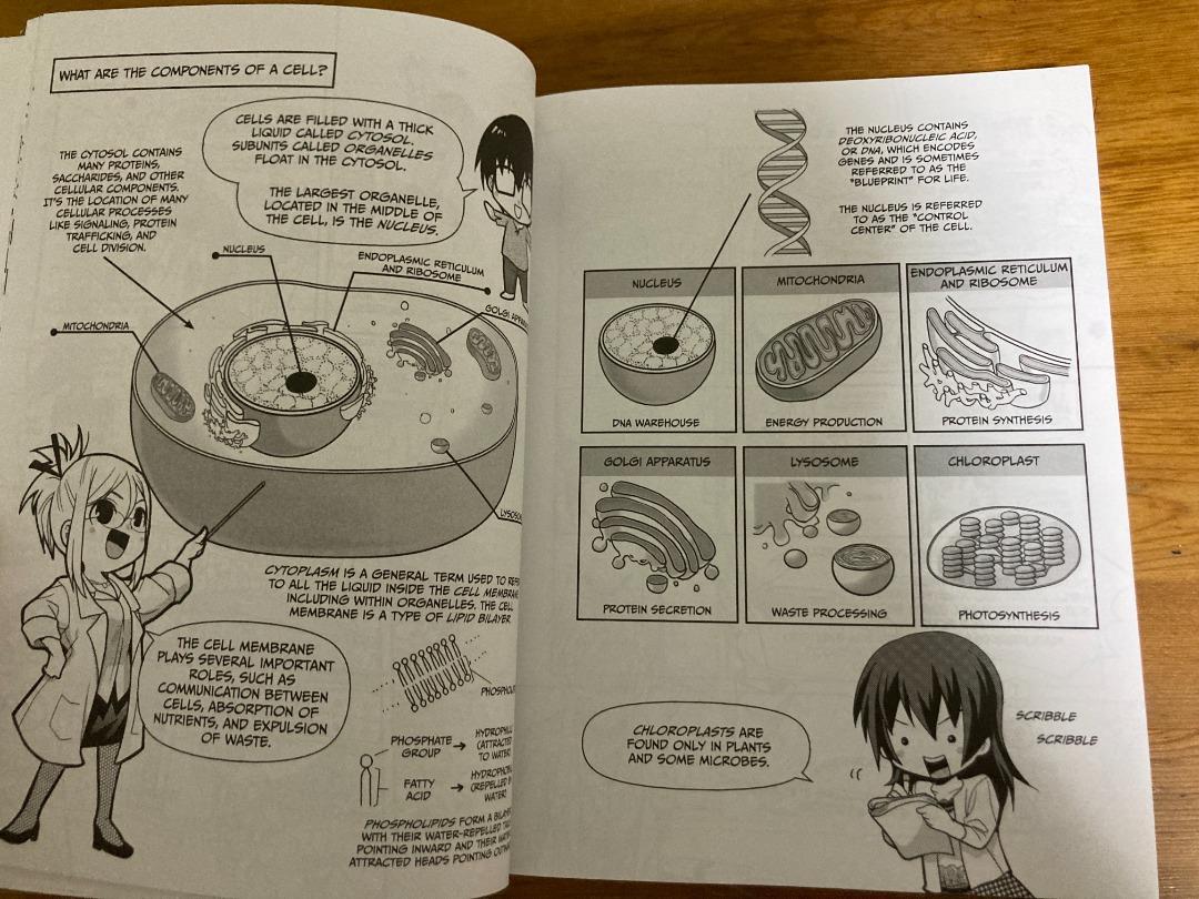 The Manga Guide to Biochemistry, Hobbies & Toys, Books & Magazines ...