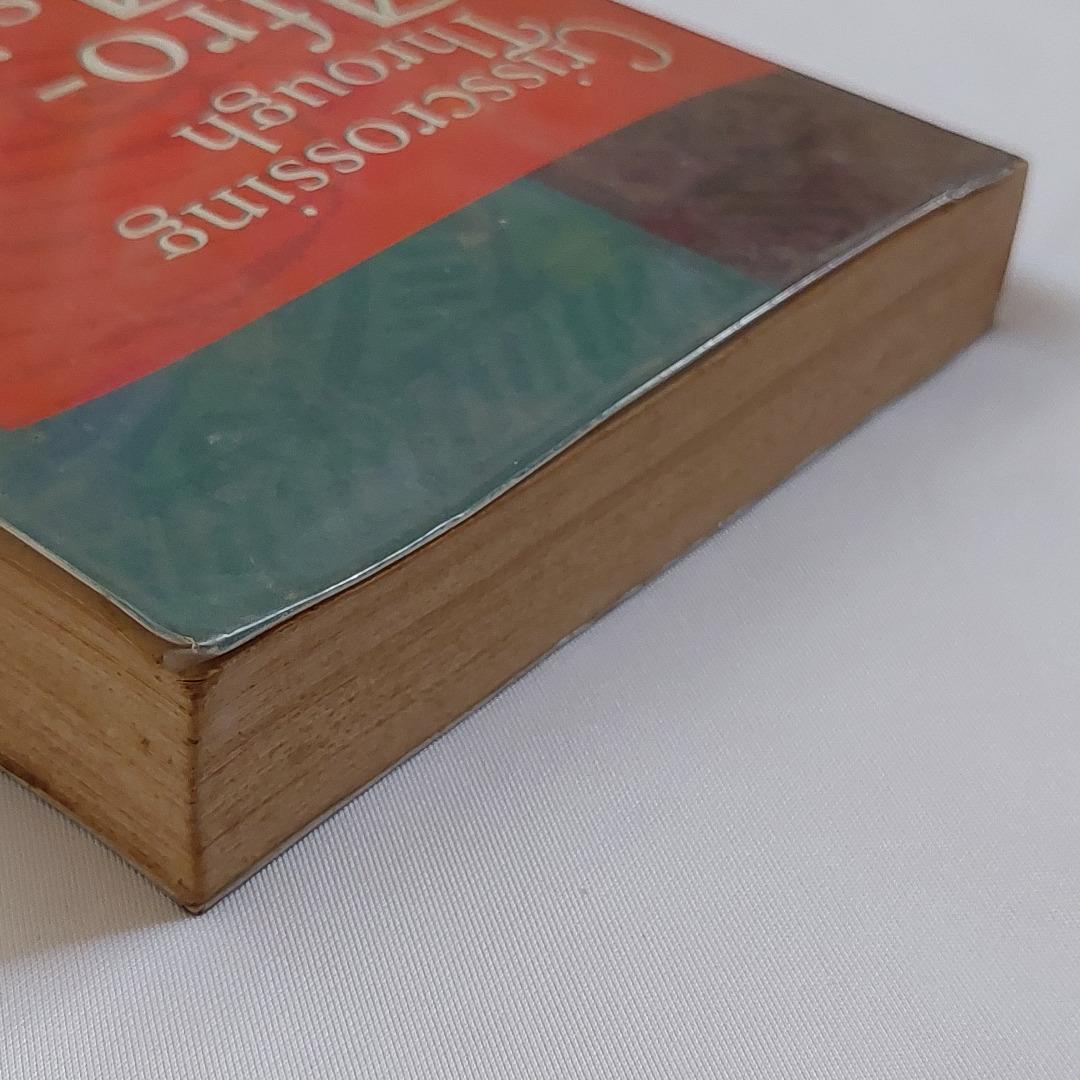 Crisscrossing Through Afro-Asian Literature by Rustica C. Carpio ...