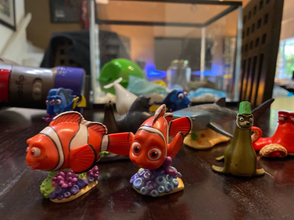 Finding Nemo / Finding Dory Disney deluxe Playset, Hobbies & Toys ...