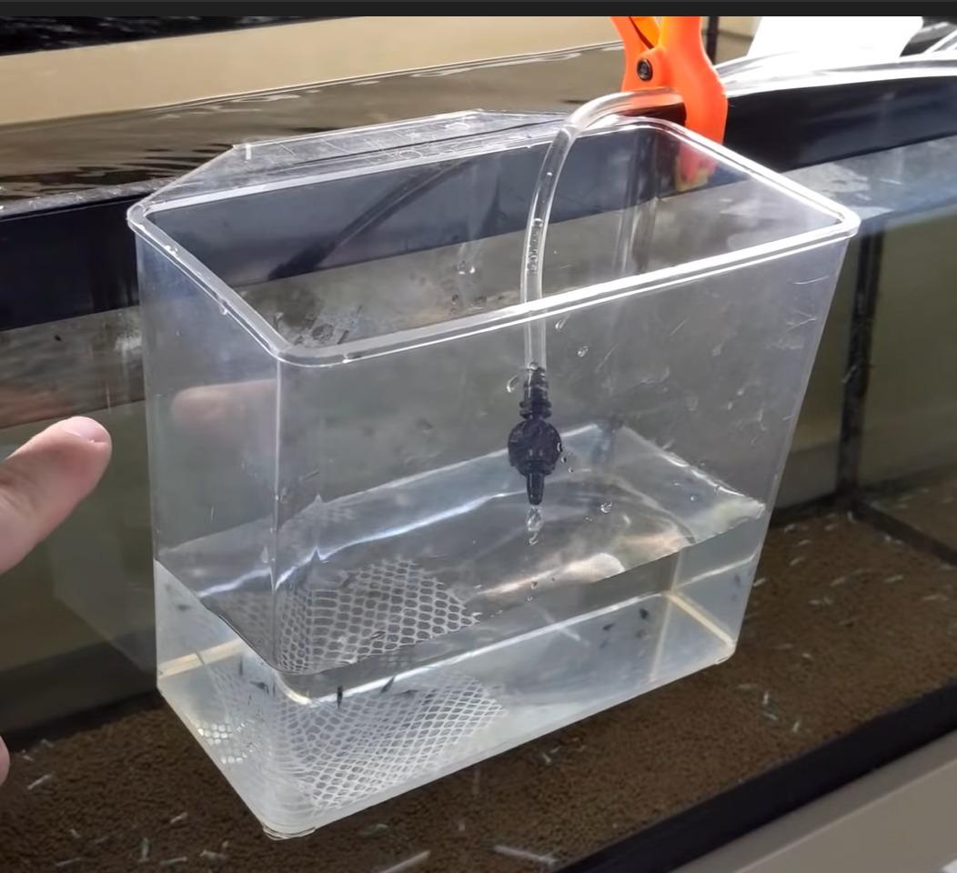 Fish Shrimp Drip Acclimation Kit Aquarium, Pet Supplies, Homes & Other ...