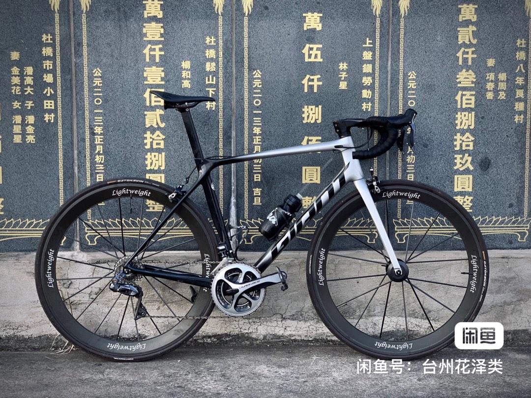 GIANT TCR ADV PRO RIM + upgraded adv sl fork Custom Painted Plutonium ...