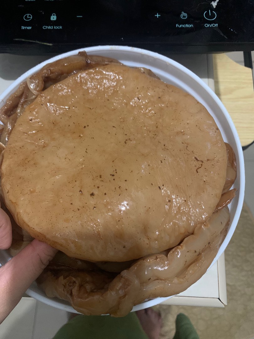 Kombucha Scoby, Food & Drinks, Other Food & Drinks on Carousell