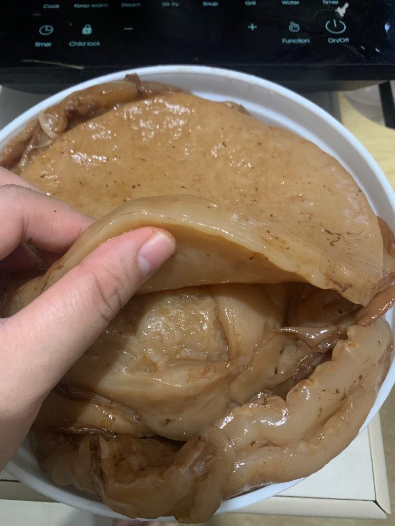 Kombucha Scoby, Food & Drinks, Other Food & Drinks on Carousell