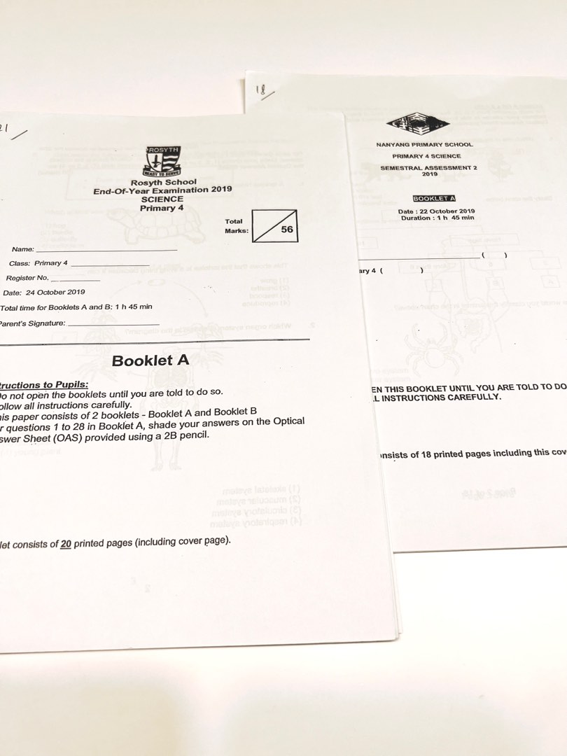 Loose Sets - Past Year Exam Papers 2019 (Primary 4 Science), Hobbies ...