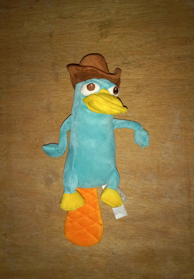 Perry the Platypus stuff toy, Hobbies & Toys, Toys & Games on Carousell