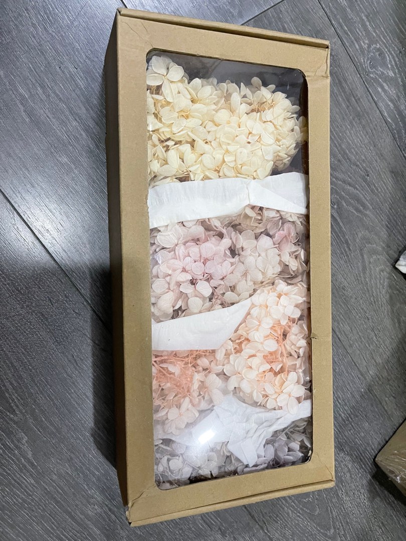 Preserved Hydrangea 4 colour in box, Hobbies & Toys, Stationery & Craft ...