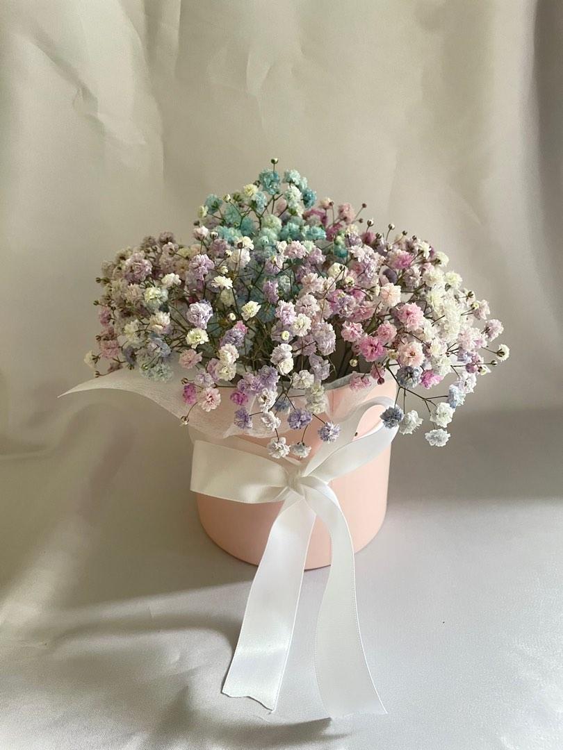 Rainbow Baby’s Breath Bloom Box, Hobbies & Toys, Stationery & Craft ...