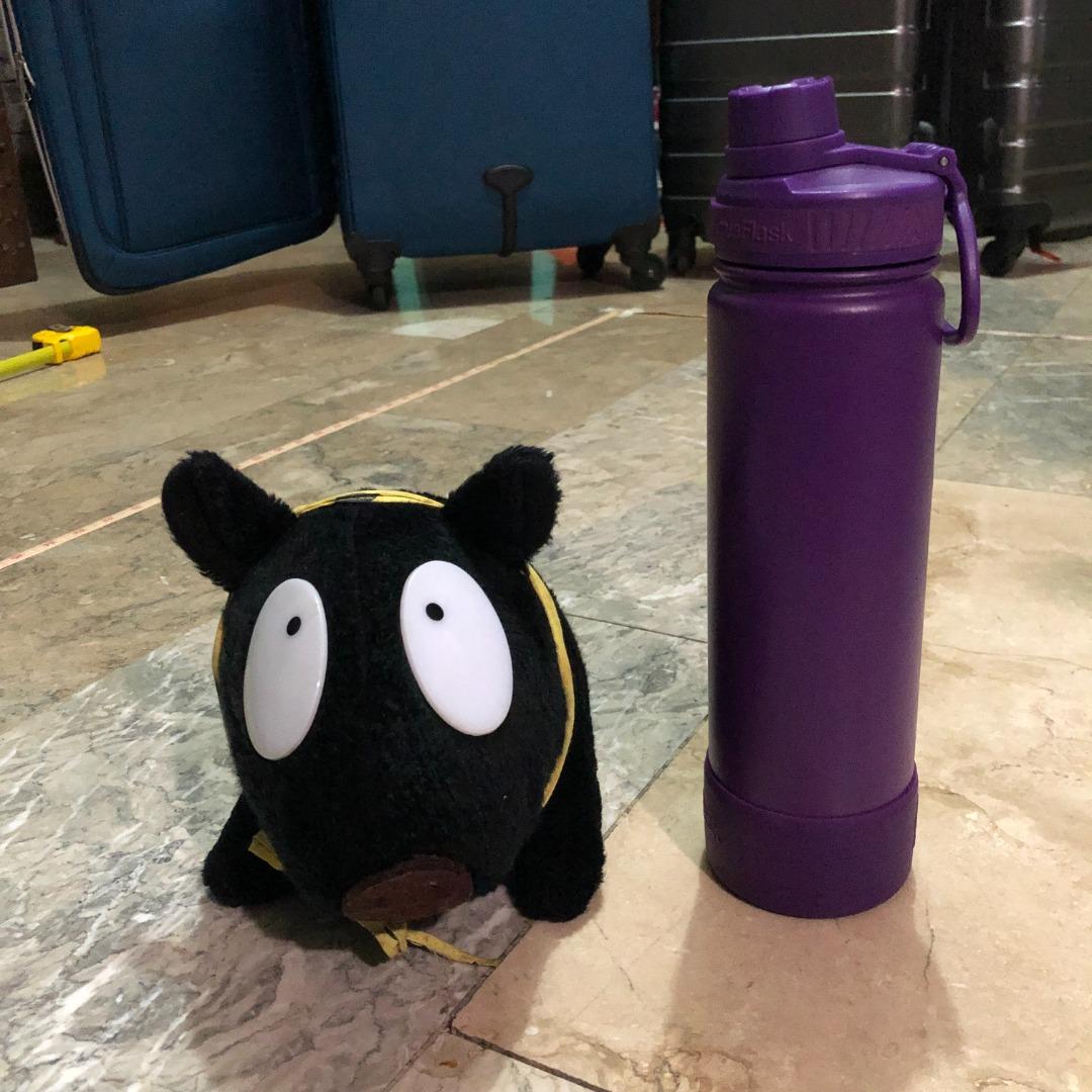 Ranma 1/2 - Ryoga Pig version Plush, Hobbies & Toys, Memorabilia ...